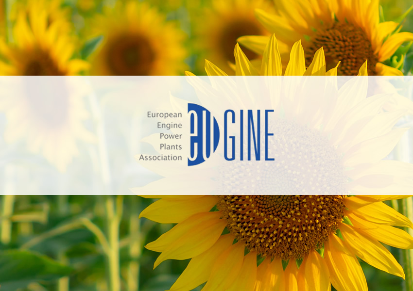 Our Vision & Mission | EUGINE
